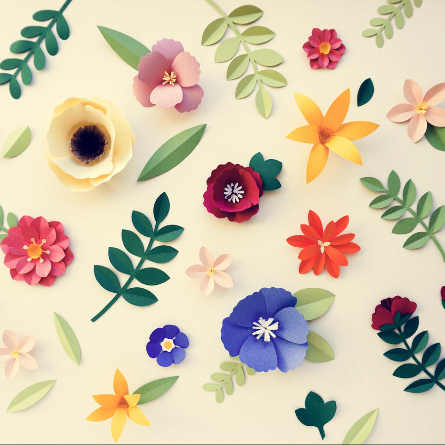 Dream Cut Machine and Accessories – Itsy Bitsy